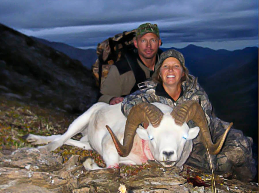 Alaska Dall Sheep Hunting