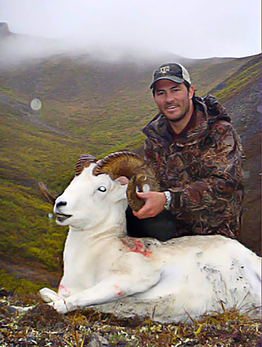 Alaska Dall Sheep Hunting