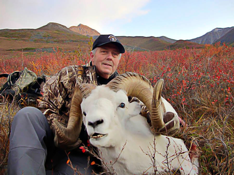Alaska Dall Sheep Hunting