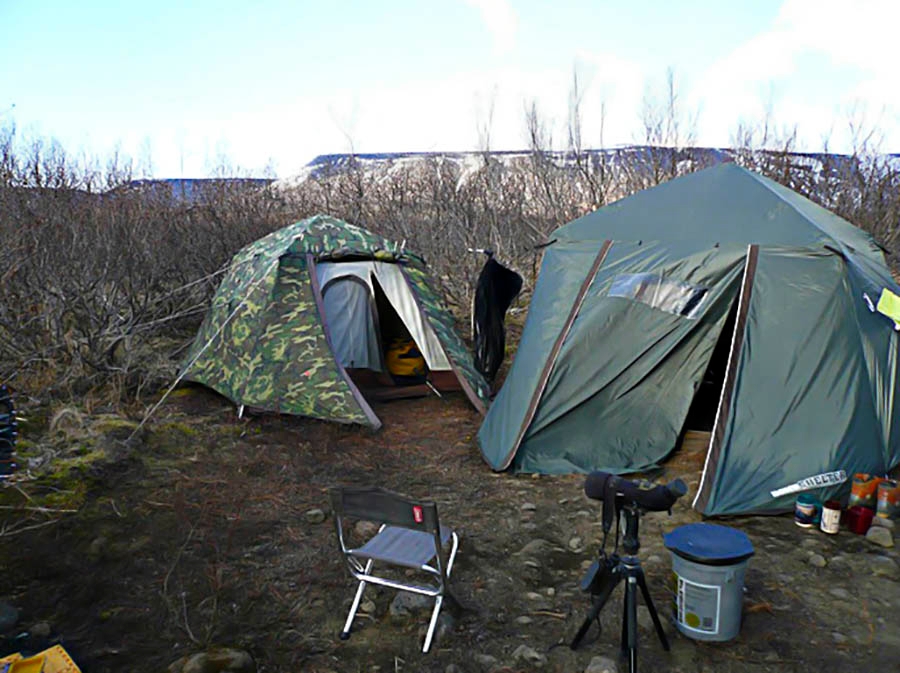 Guided Brown Bear Hunting in Alaska