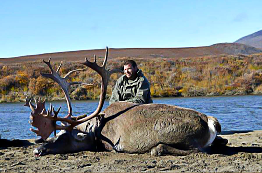 Guided Hunts Alaska Caribou