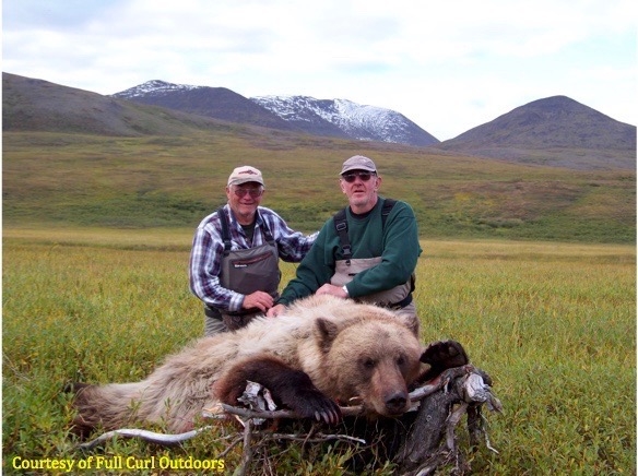 Guided Alaska Grizzly Bear Hunt