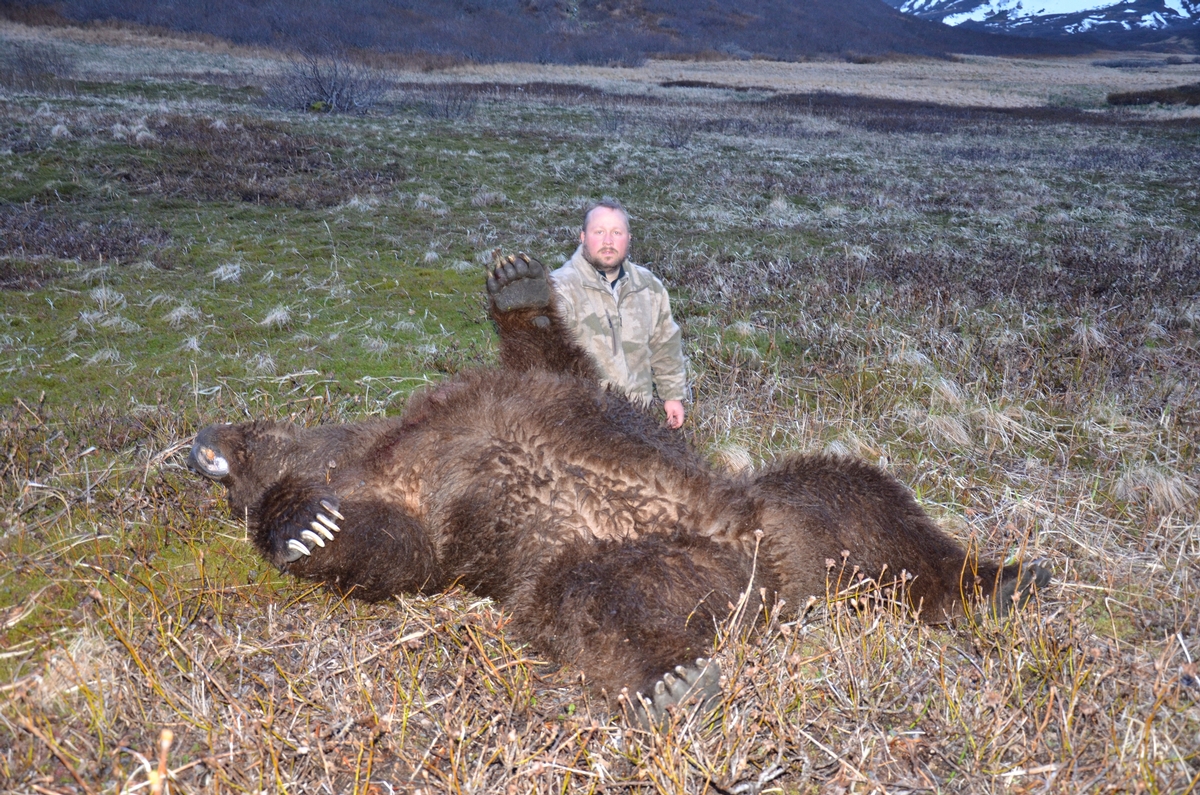 Guided Brown Bear Hunting in Alaska